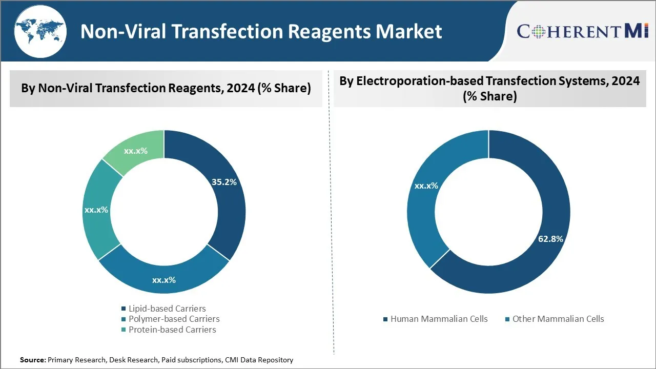 Non-Viral Transfection Reagents Market - 보고서 및 생산 통계
